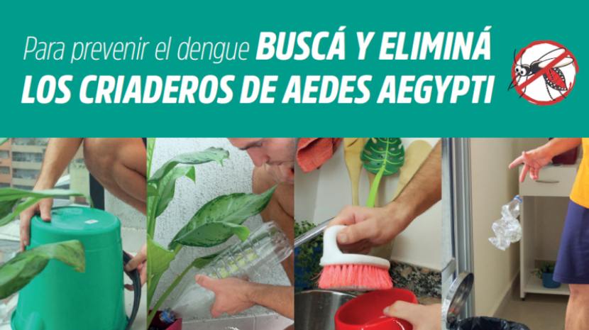 Consejos Para Prevenir El Dengue Famaillá Hoy